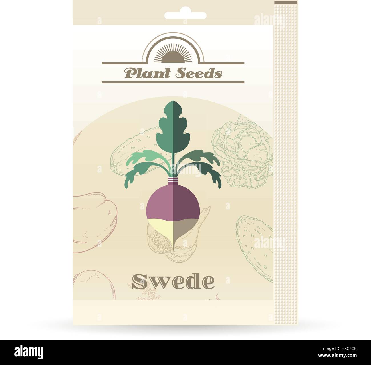 Brassica rutabaga Stock Vector Images - Alamy