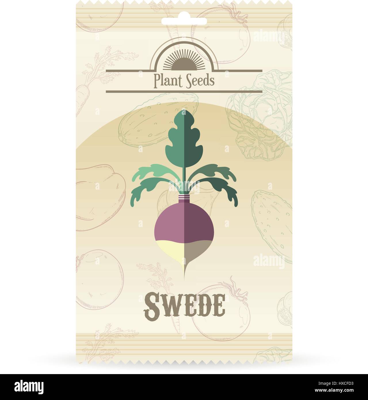 Pack of Swede seeds Stock Vector Image & Art - Alamy