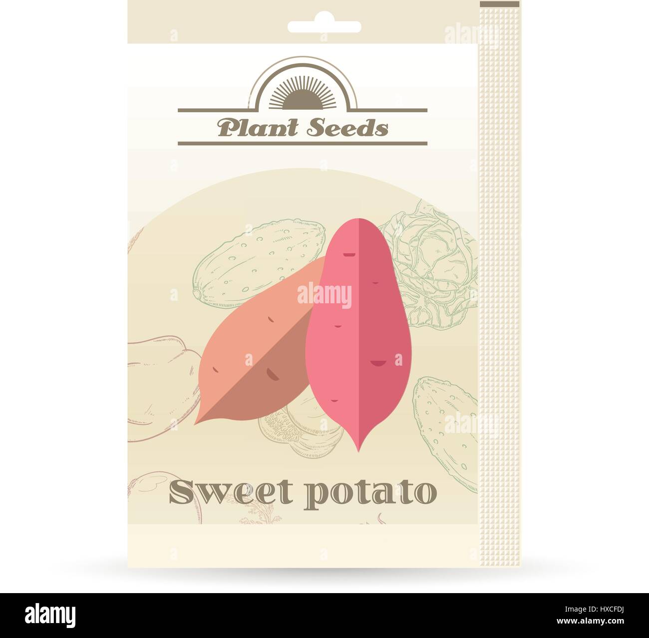 Summer root vegetable Stock Vector Images - Alamy