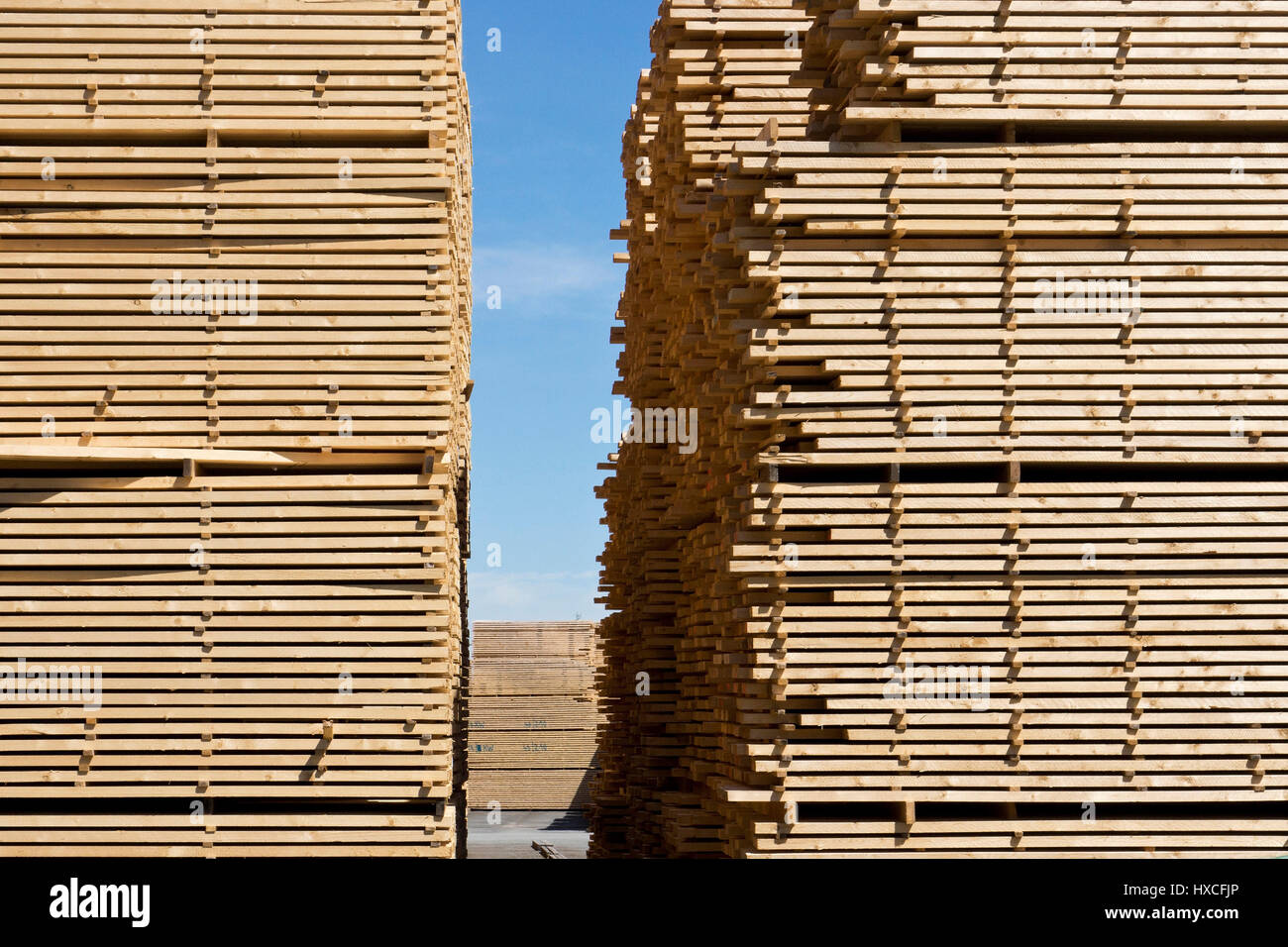 Stacked wooden slats on an industrial area in the harbour, Stacked ...