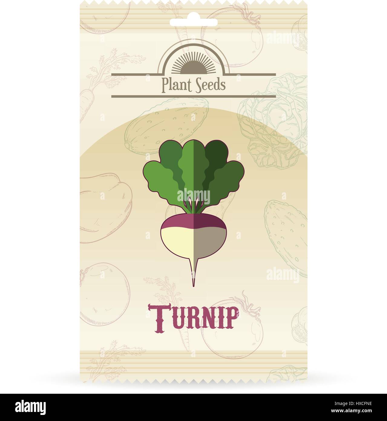 Little turnip Stock Vector Images - Alamy