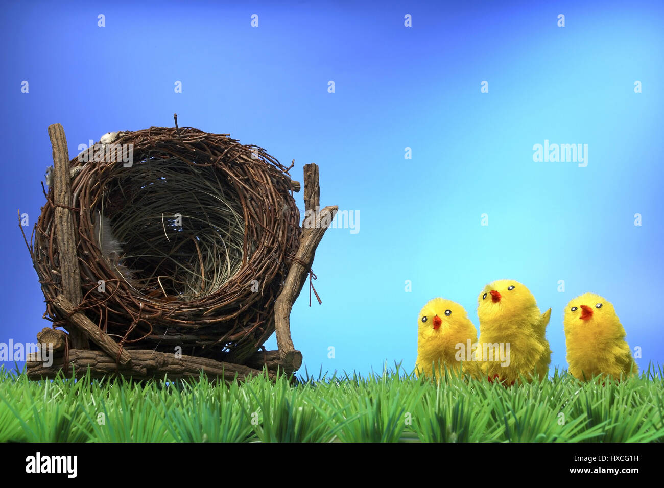 Kuecken with nest, Kuecken mit Nest Stock Photo - Alamy