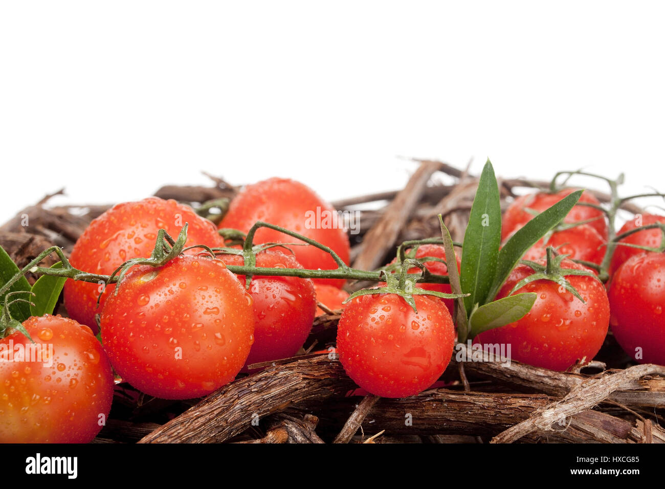 Shrub tomatoes, Tomatoes |, Strauchtomaten |Tomatoes| Stock Photo - Alamy