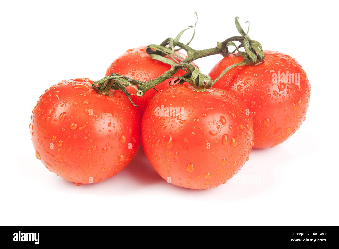 Shrub tomatoes, Tomatoes |, Strauchtomaten |Tomatoes| Stock Photo - Alamy