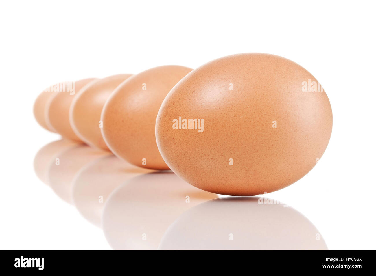 Biology eggs, Organic eggs |, Bio-Eier |Organic eggs| Stock Photo - Alamy