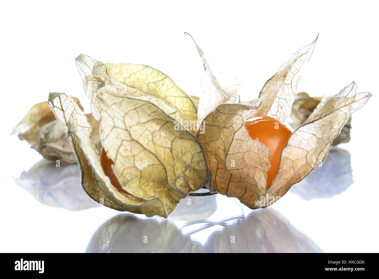 Physalis - Food Stock Photo - Alamy