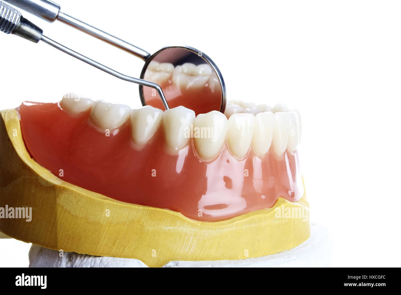 The third teeth, Dritte Zaehne Stock Photo - Alamy