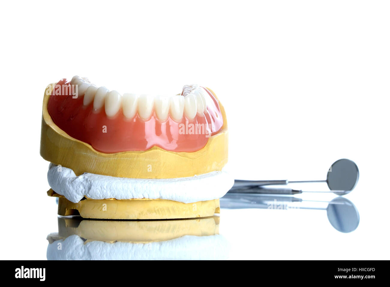The third teeth, Dritte Zaehne Stock Photo - Alamy