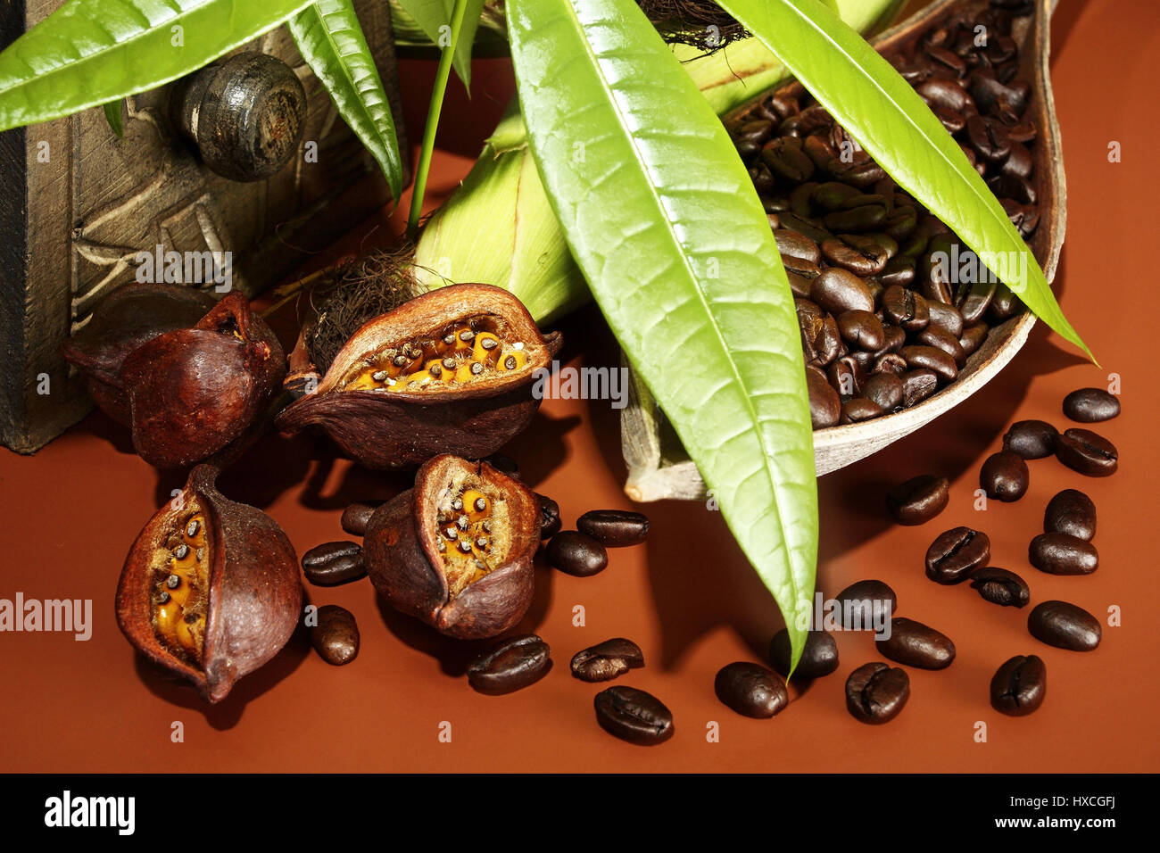 Maize and coffee beans, Mais und Kaffeebohnen Stock Photo - Alamy