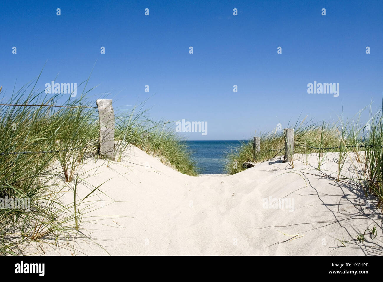 Weg zum strand hi-res stock photography and images - Alamy