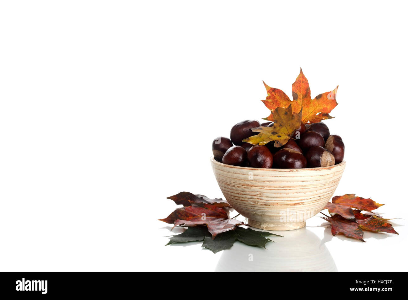 Kastanien baum herbst hi-res stock photography and images - Alamy