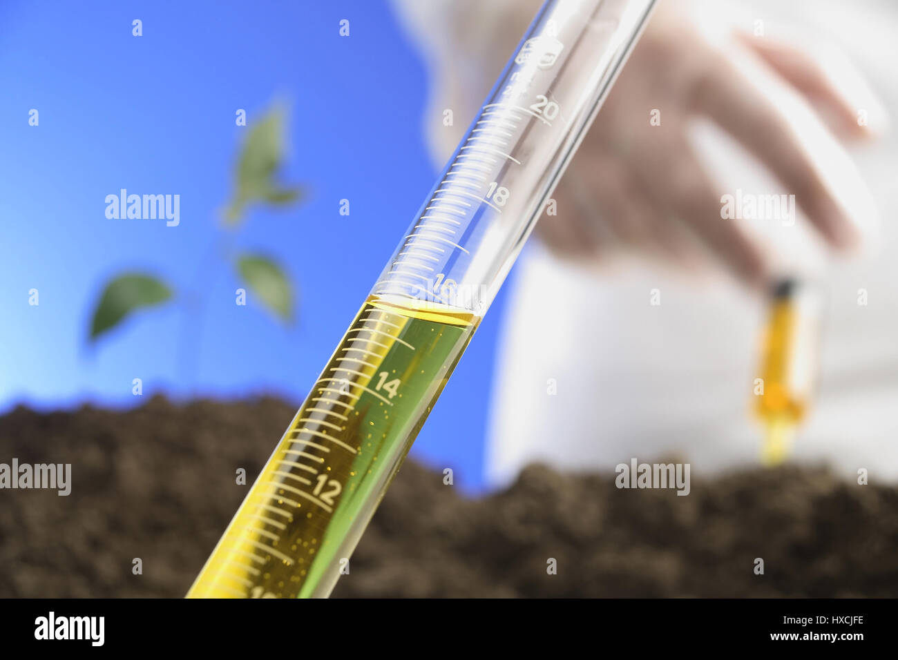 Plant breeding in lab hi-res stock photography and images - Alamy