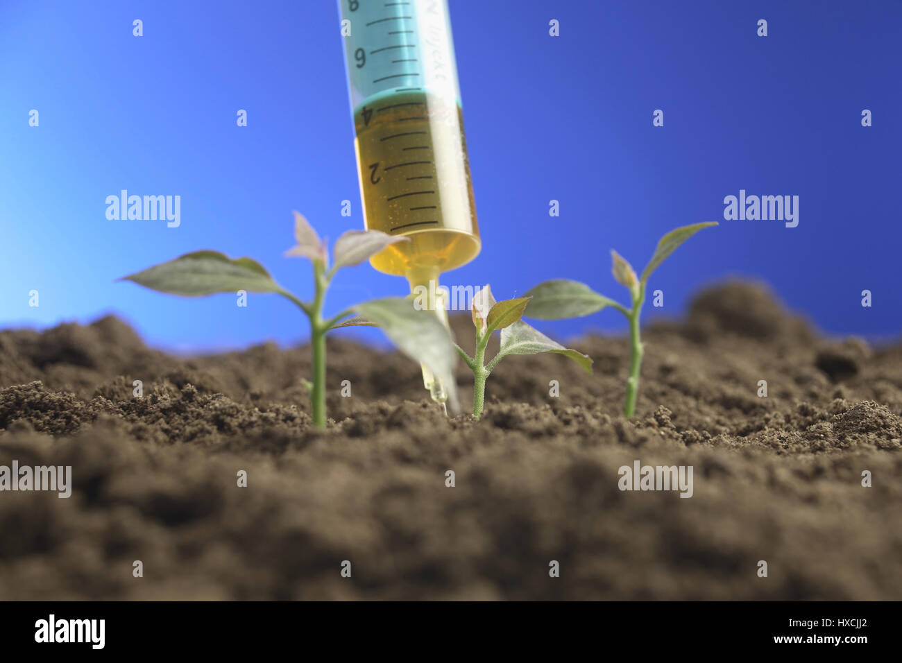 Biotechnik hi-res stock photography and images - Alamy