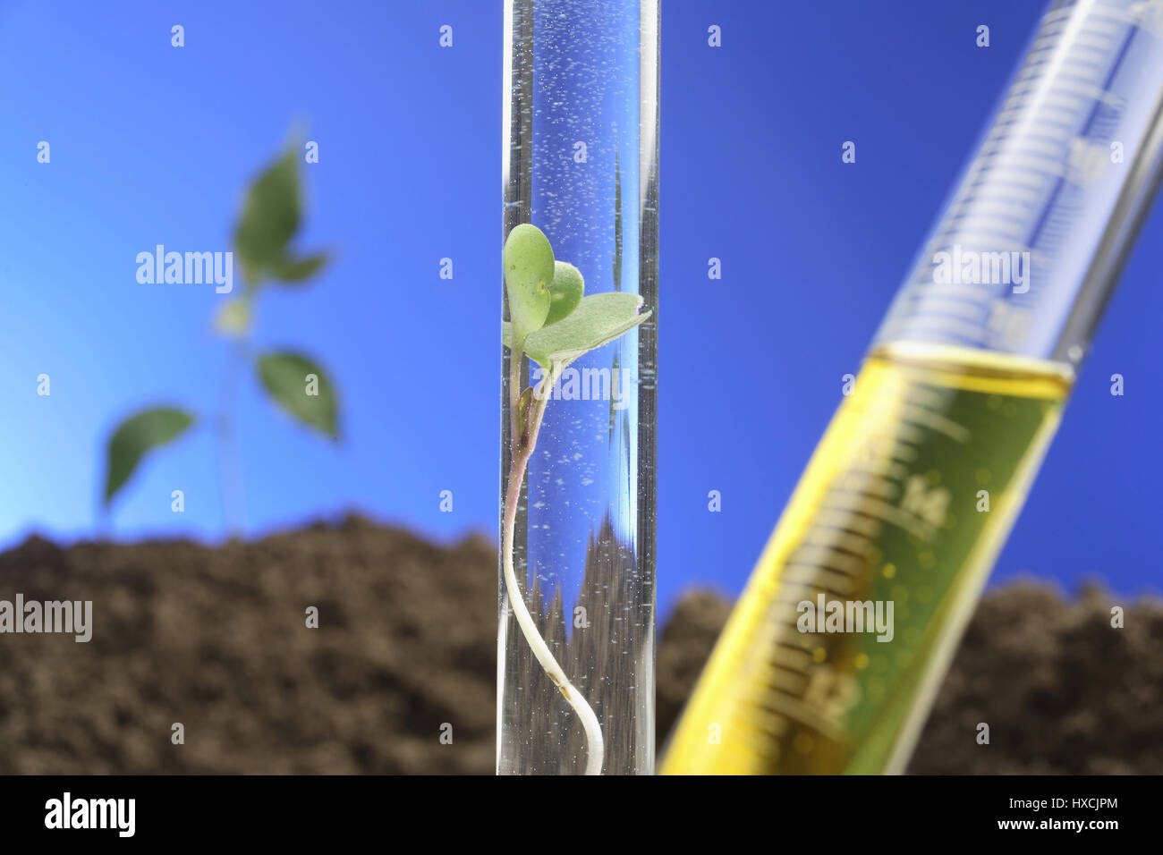 Biotechnik hi-res stock photography and images - Alamy