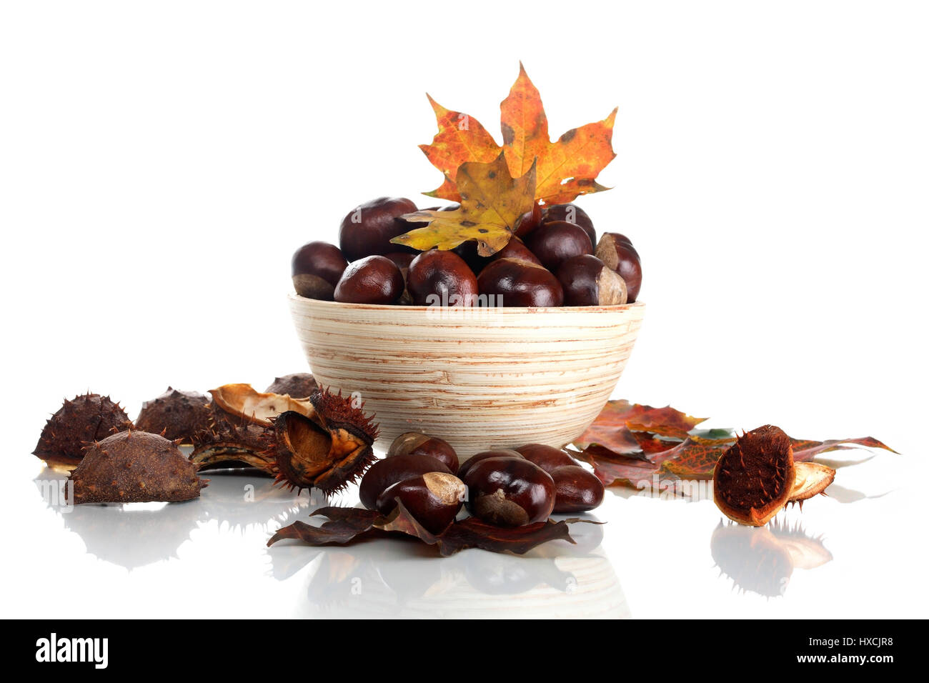 Kastanien baum herbst hi-res stock photography and images - Alamy