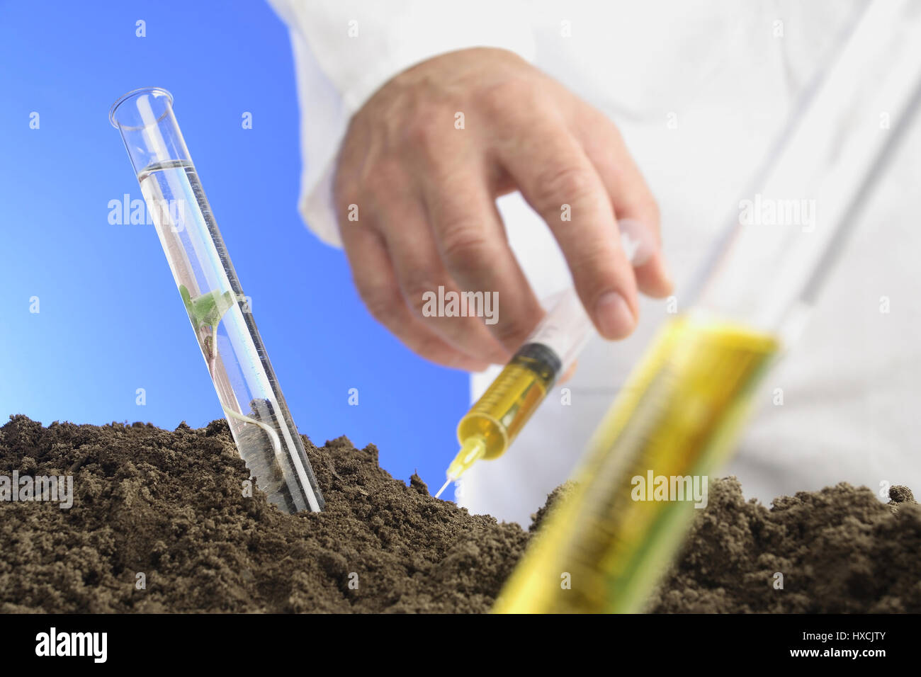 Plant breeding in the lab, Pflanzenzucht im Labor Stock Photo - Alamy