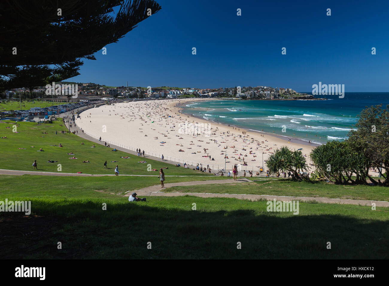 General views of Bondi Beach from the grass area known as Bondi Park ...