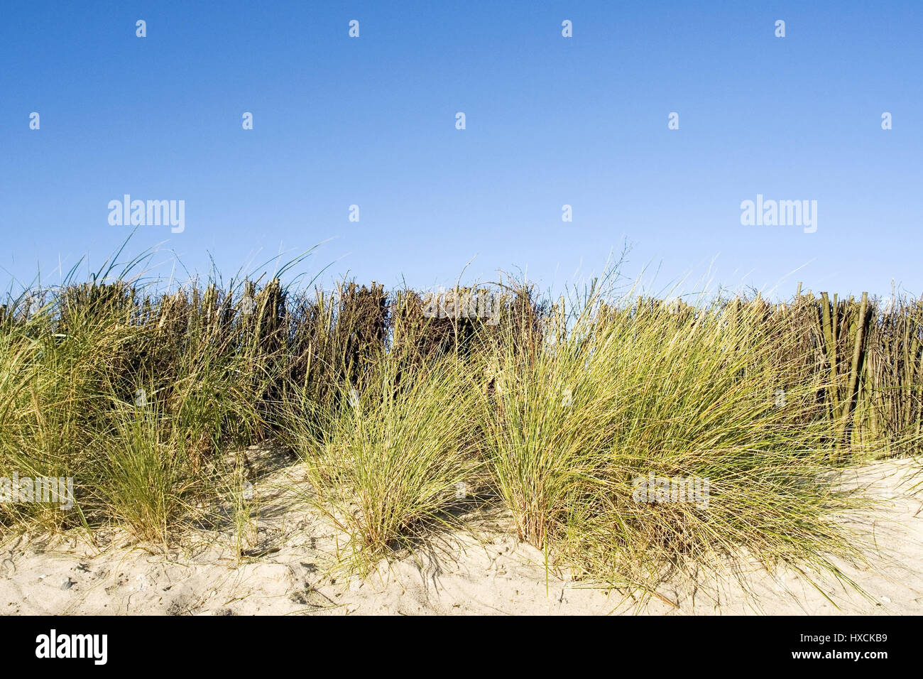 Connection on the sandy beach, Befestigung am Sandstrand Stock Photo ...
