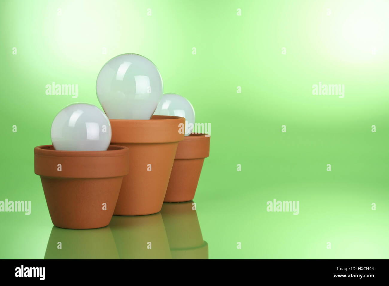 Light bulbs in flowerpots, Bulbs in flower pot |, Glühbirnen in ...