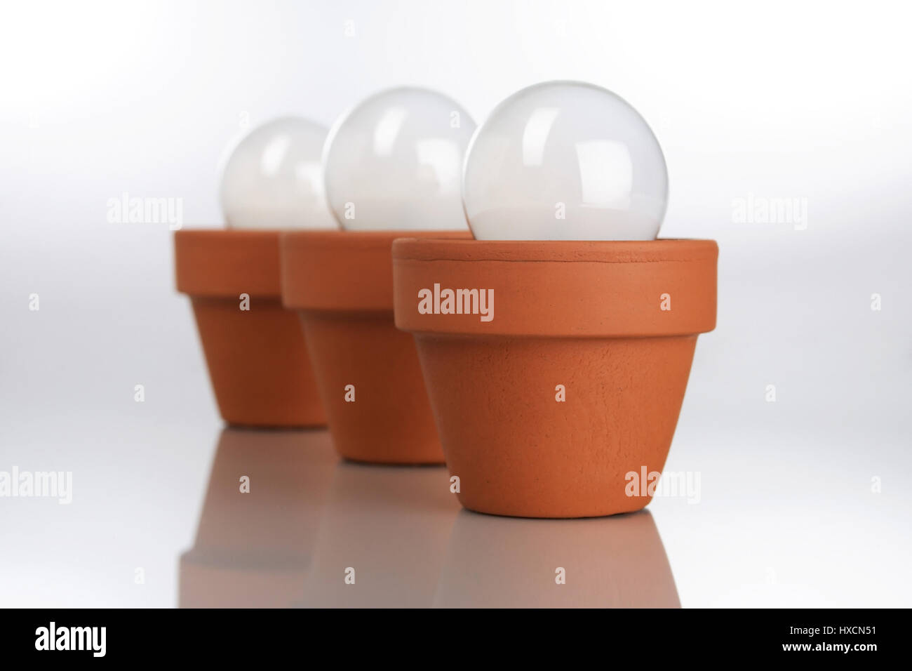 Light bulbs in flowerpots, Bulbs in flower pot |, Glühbirnen in ...