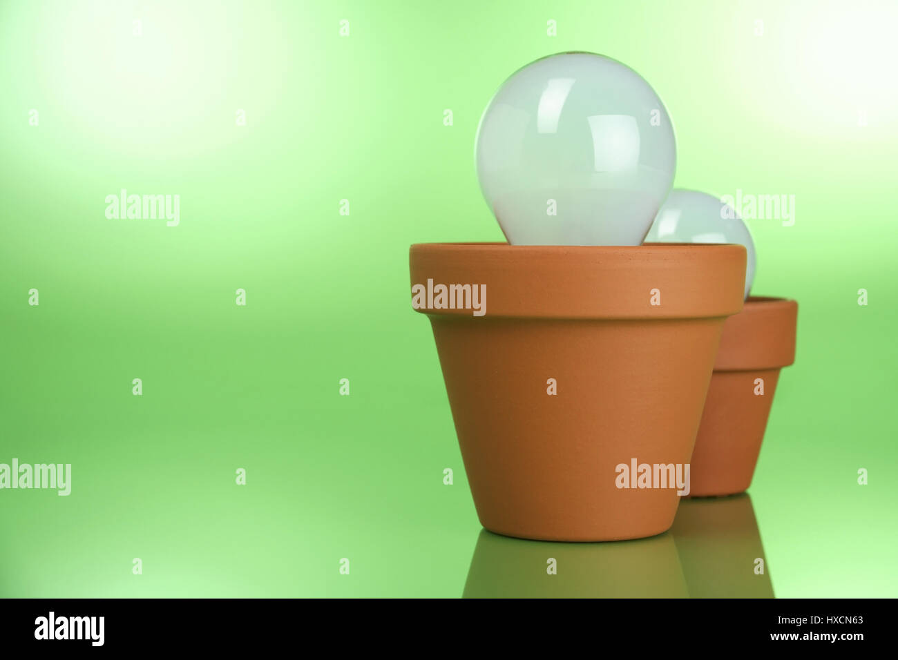 Light bulbs in flowerpots, Bulbs in flower pot |, Glühbirnen in ...