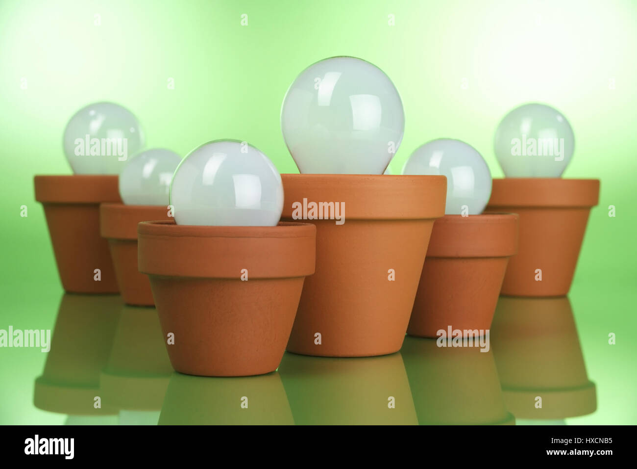 Light bulbs in flowerpots, Bulbs in flower pot |, Glühbirnen in ...