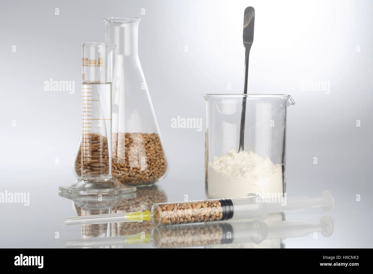 Wheat and flour in the laboratory, Weizen und Mehl im Laboratorium ...