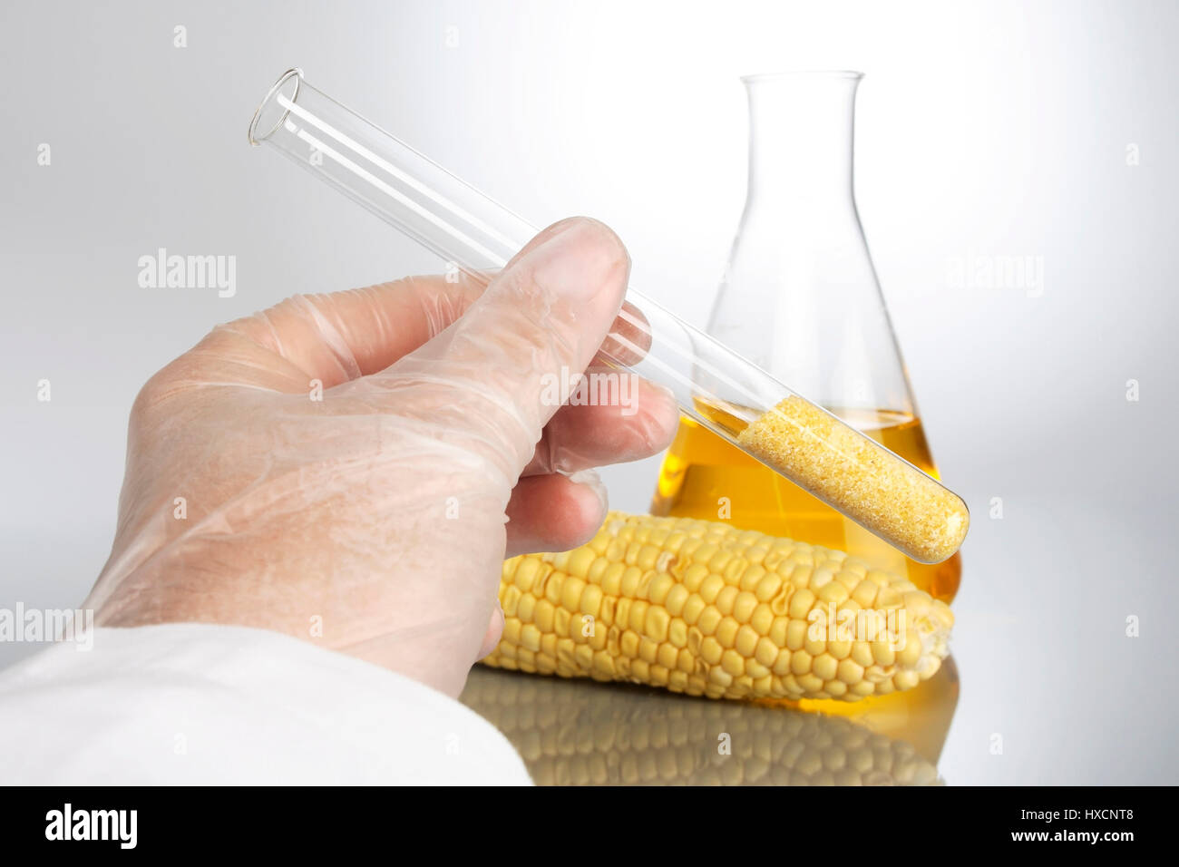 Test tube with cornmeal, Reagenzglas mit Maismehl Stock Photo - Alamy