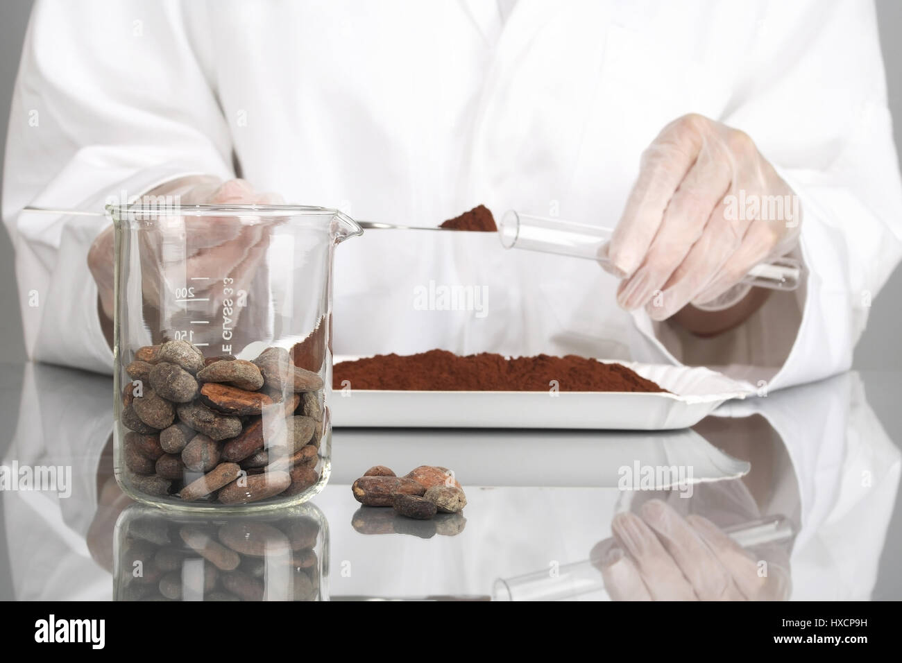 Cocoa test in the lab, Kakaoprobe im Labor Stock Photo - Alamy