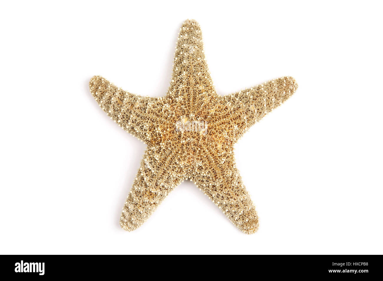 Seesterne symbol hi-res stock photography and images - Alamy