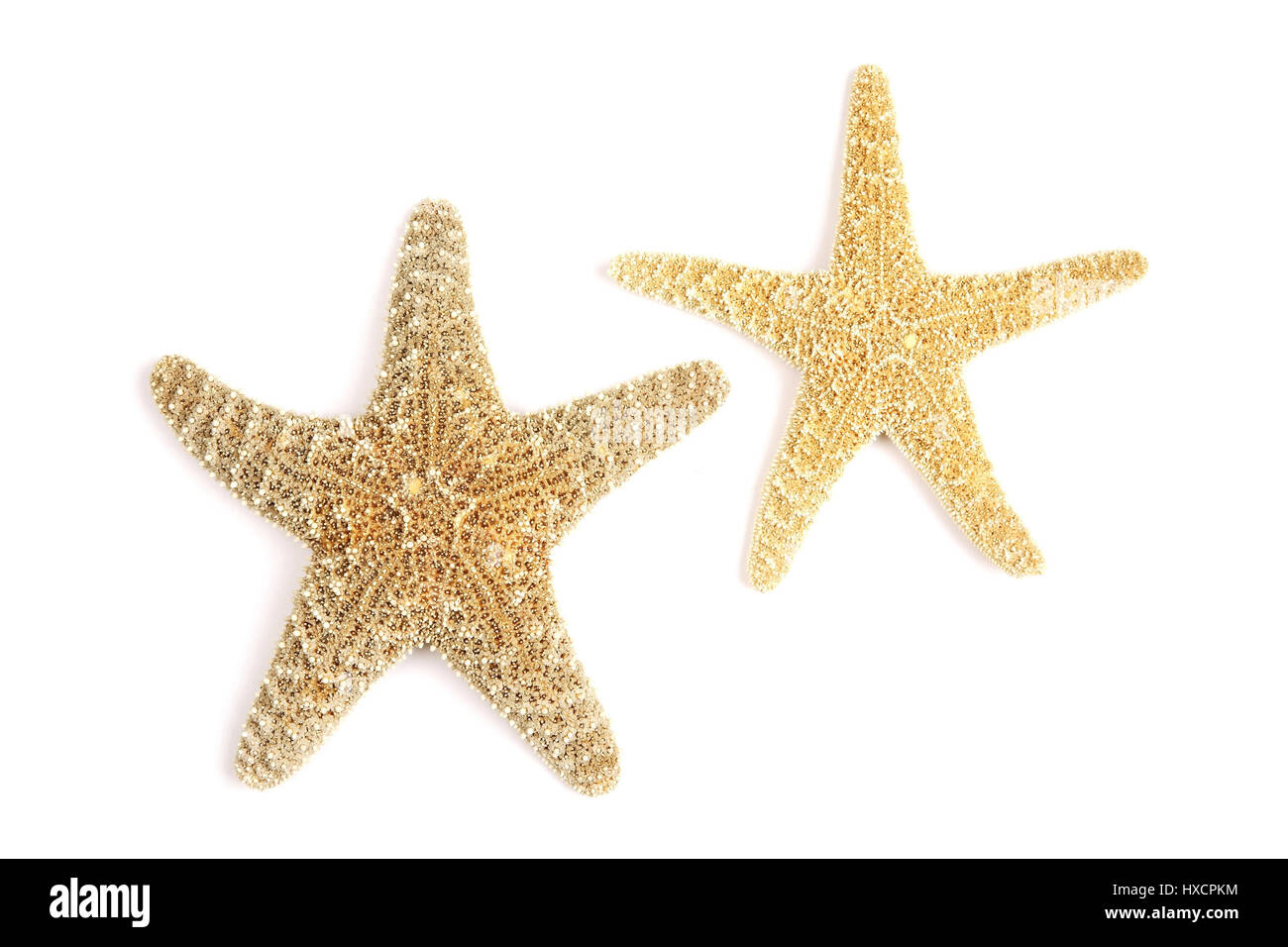 Seesterne symbol hi-res stock photography and images - Alamy