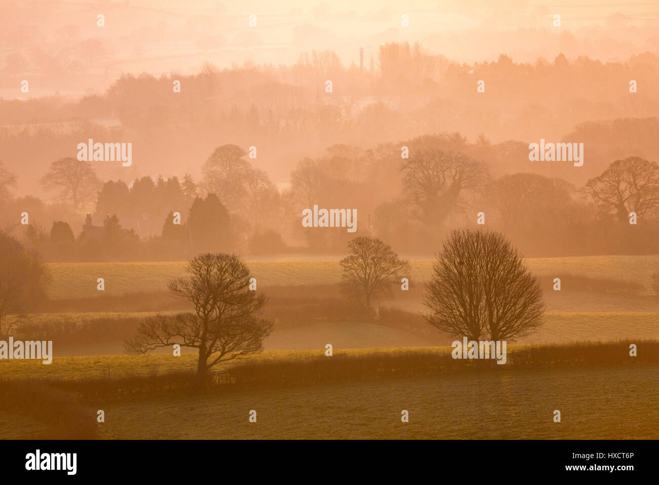 Golden morning sunrise over a Welsh rural landscape during early summer ...