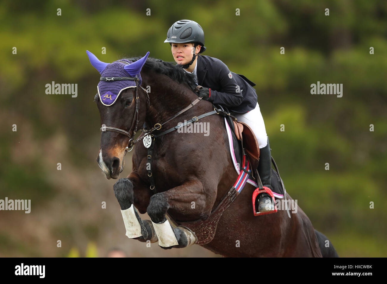 Tsumagoi Joba Club, Shizuoka, Japan. 26th Mar, 2017. Kotomi Yoshida ...