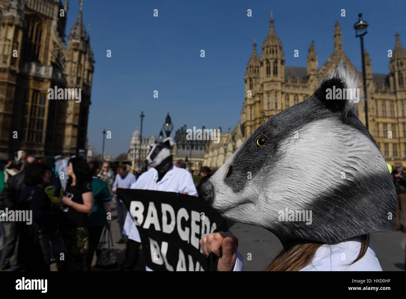 London, UK. 27th Mar, 2017. Women wearing a badger mask join animal ...