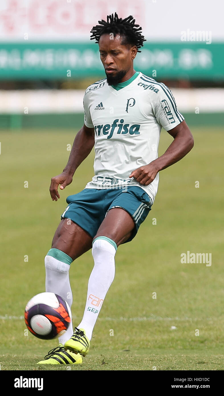 Zé roberto palmeiras hi-res stock photography and images - Alamy