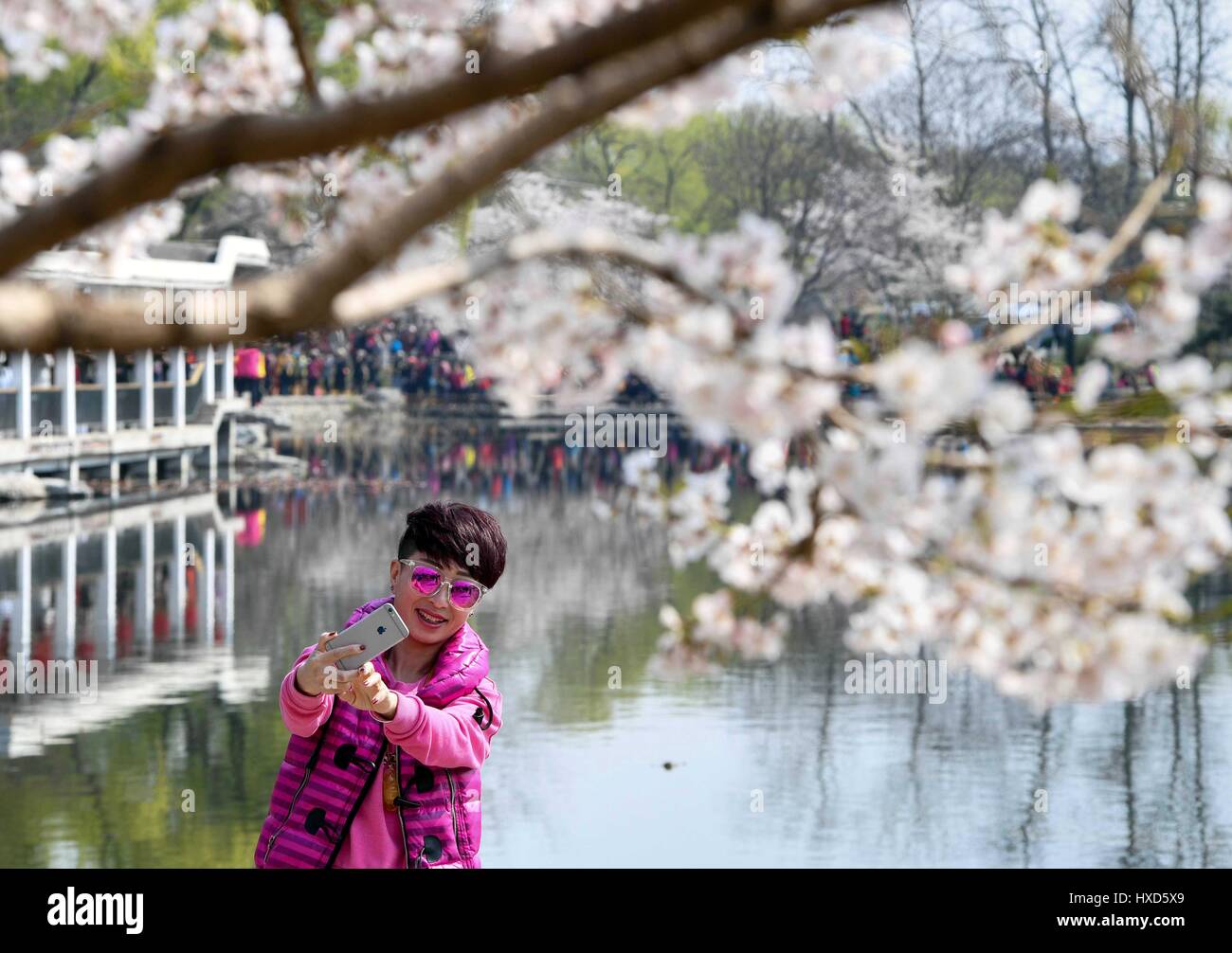 Beijing, China. 28th Mar, 2017. A woman takes selfie under cherry ...