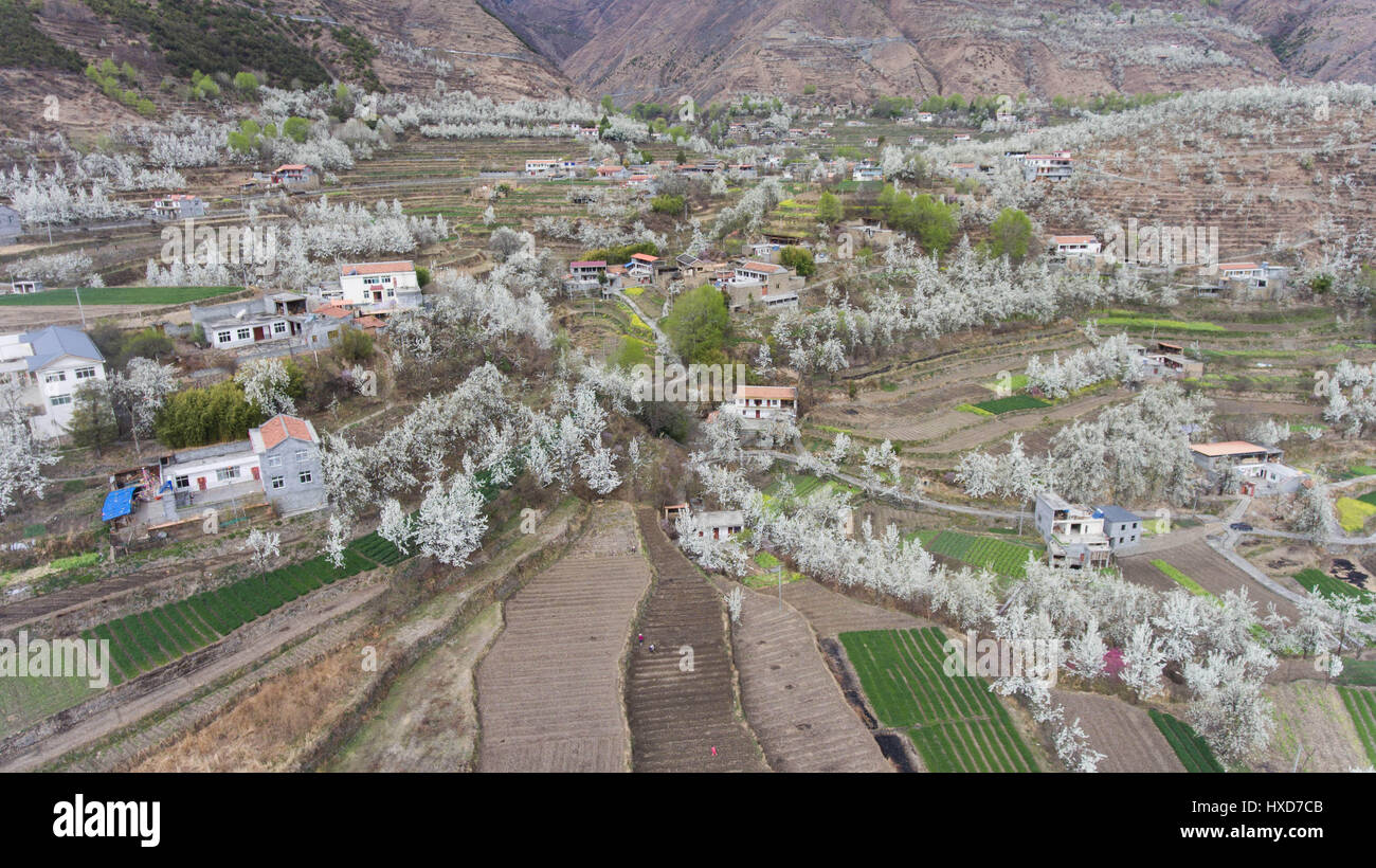 Jinchuan, China. 28th Mar, 2017. Aerial view of landscape with pear ...