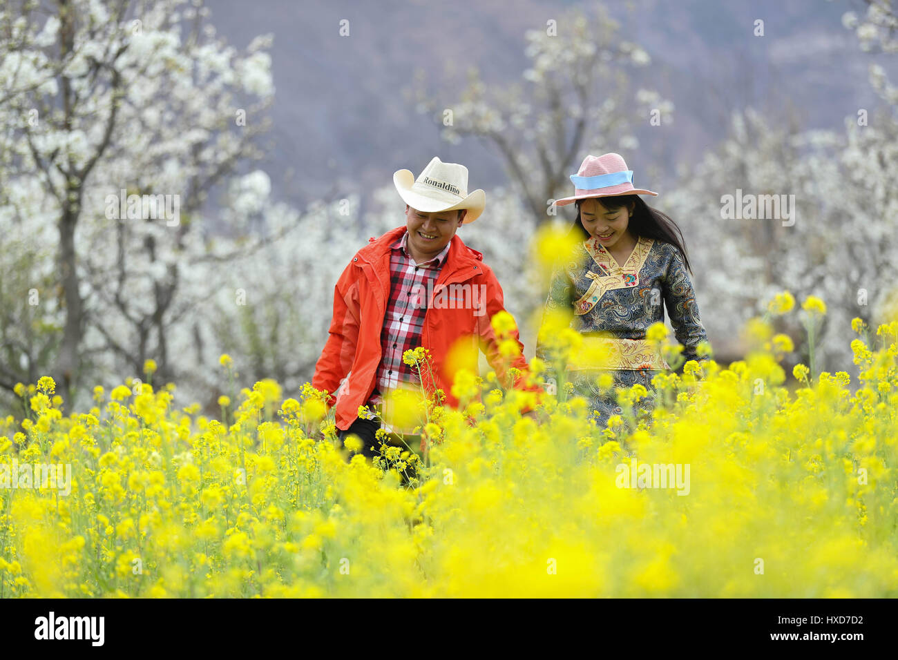 Jinchuan, China. 28th Mar, 2017. Landscape view with pear flowers in ...