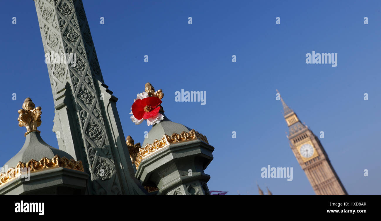 London, UK. 28th Mar, 2017. A poppy flower as tribute to the victims of ...