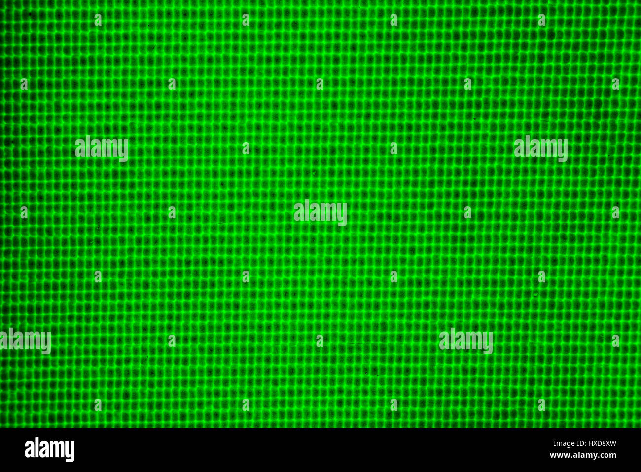 Toxic green texture/pattern background Stock Photo - Alamy