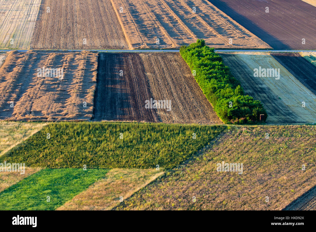 Turf patterns hi-res stock photography and images - Alamy
