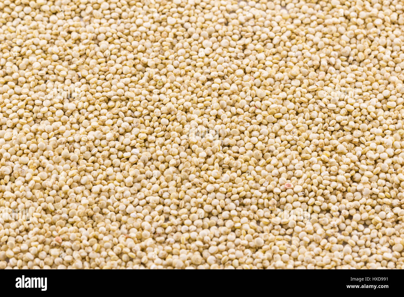 Organic Quinoa seeds Macro close up background texture Stock Photo - Alamy