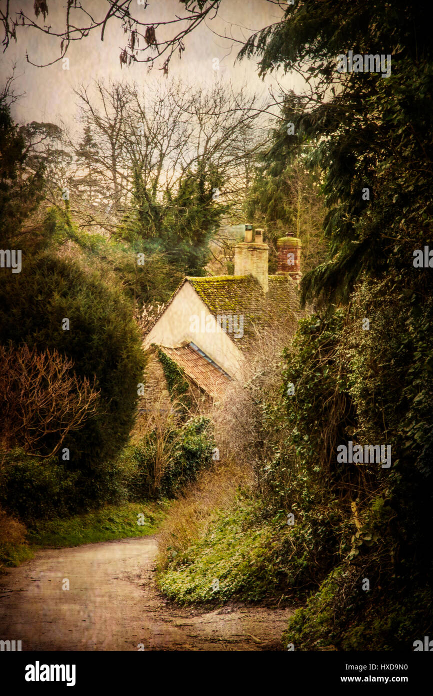 English country lane hi-res stock photography and images - Alamy