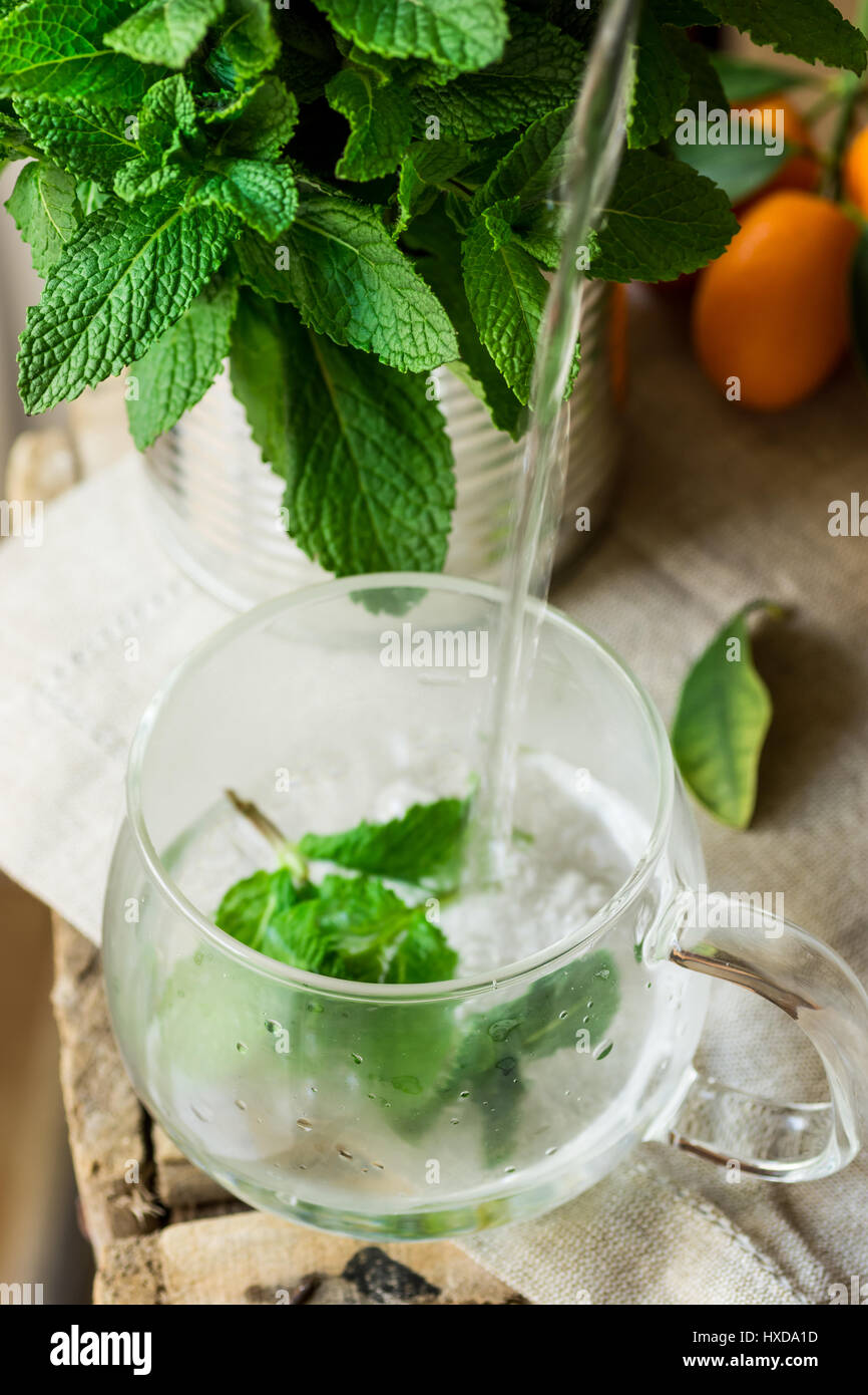 Brewing herbal tea with fresh mint, pouring hot splashing water Stock ...