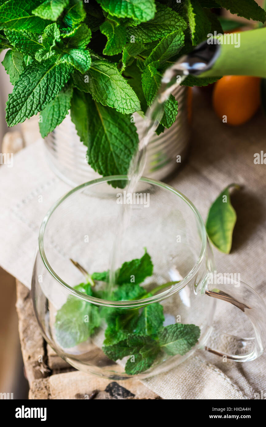 Pouring hot splashing water from pot into glass cup, brewing fresh mint ...