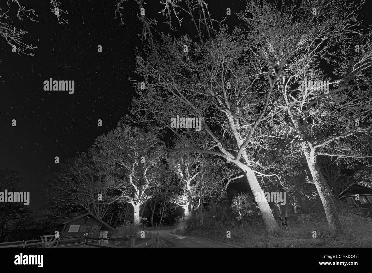 Night sky in countryside Black and White Stock Photos & Images - Alamy
