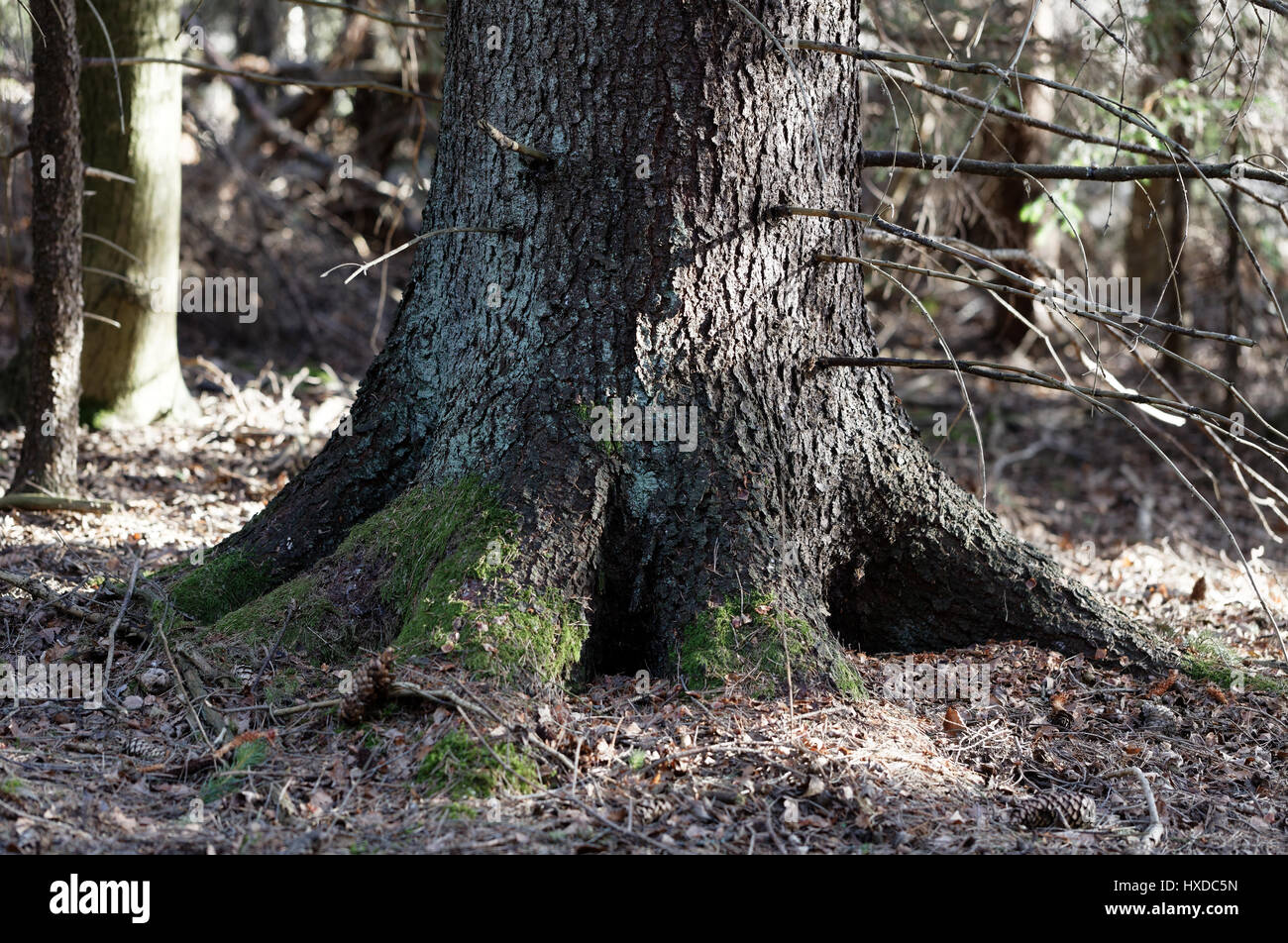 Bottom portion highlights hi-res stock photography and images - Alamy