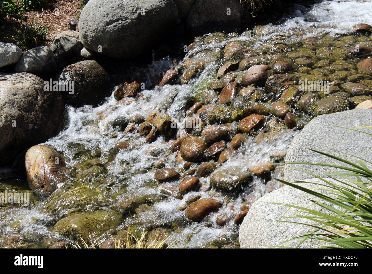 Close Up Stream Rocks High Resolution Stock Photography and Images - Alamy