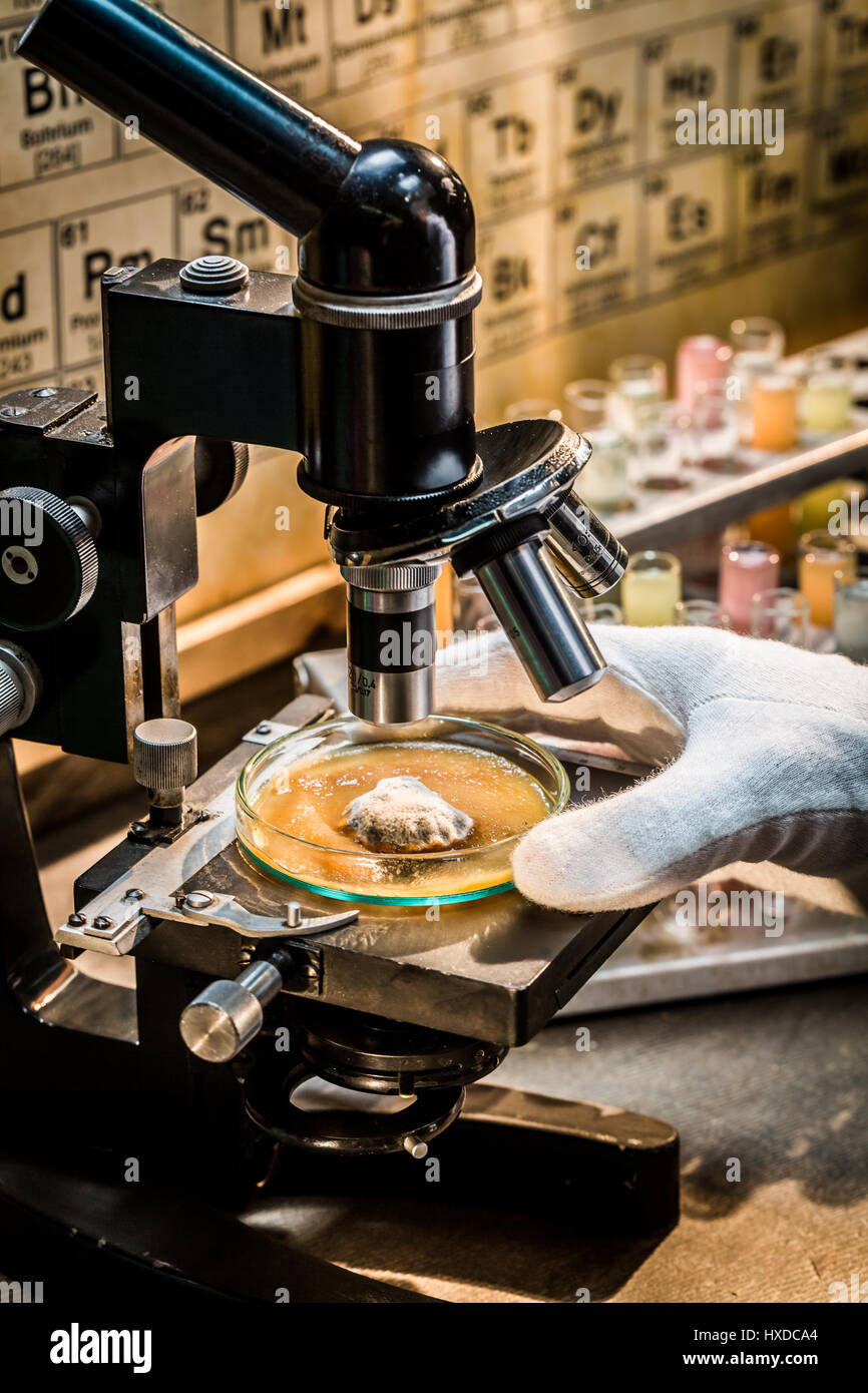 University laboratory with microscope and sample Stock Photo - Alamy