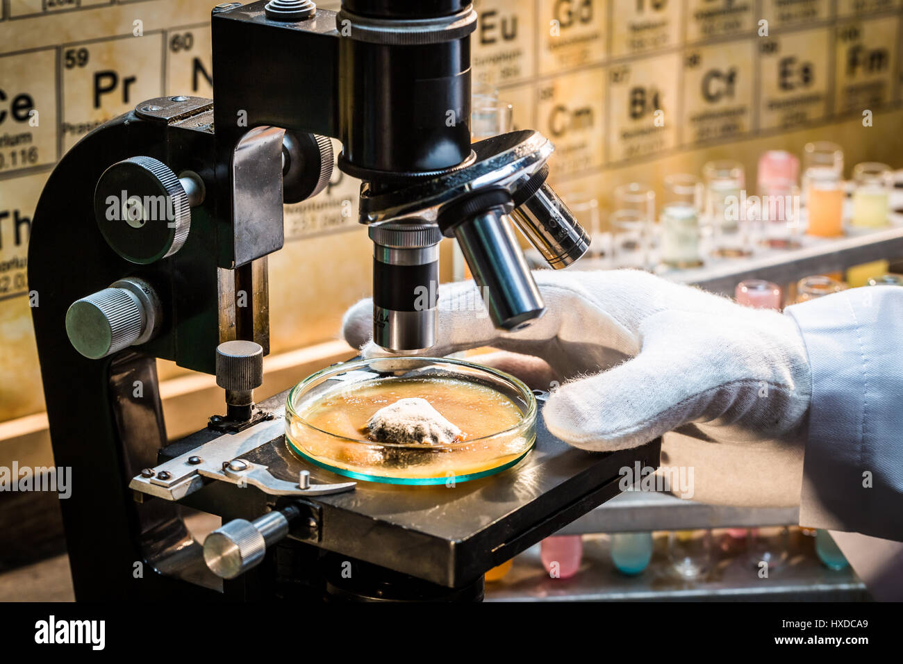 University laboratory during the mold test Stock Photo - Alamy